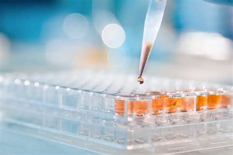 Rusta öppnar Sex Nya Varuhus Under Hösten 2025 Expansion I Rekordtakt