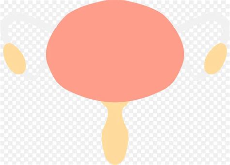 人体器官素材png图片素材下载 图片编号8419761 Png素材网