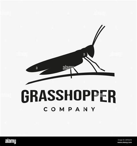 Grasshopper Creek Stock Vector Images Alamy