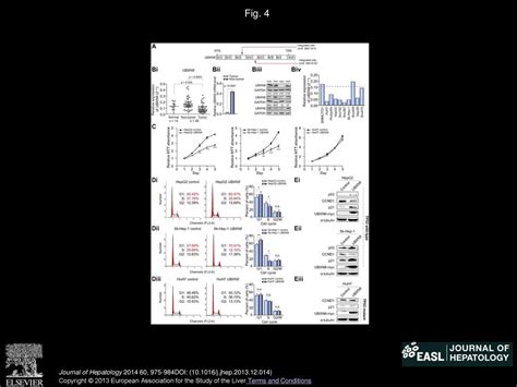 volume 60 issue 5 pages may 2014 ppt download