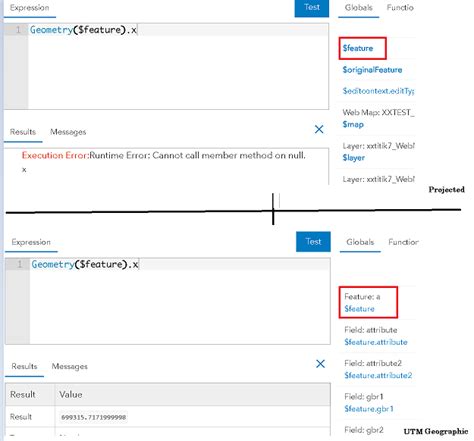 Can Not Get Coordinate In Web Map Field Map Esri Community