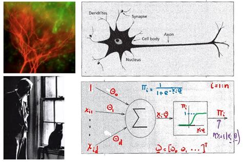 Logistic Regression With Pytorch This Article Looks Into Logistic By Rina Buoy Medium