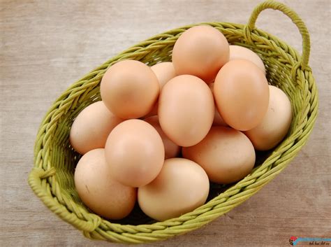 Trứng Gà Ta TrỨng SẠch ThÁi ĐÔng