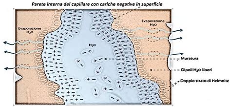Schematic Representation Of The Helmholtz Double Layer Download Scientific Diagram