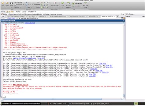 Spm12 Matlab 2018b Gui Unstable Rewardsgeser