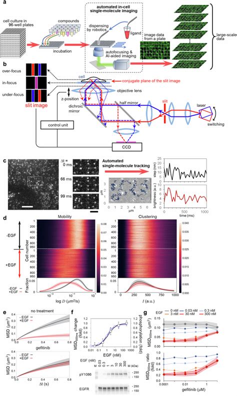 Single Molecule Tracking Based Drug Screening Nature Communications