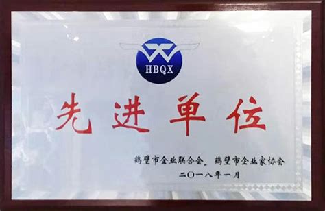鹤壁万德芙镁科技有限公司 企业资质