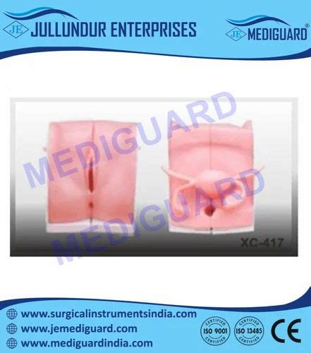 Contraception Guidance Model At Best Price In Ghaziabad By Mediguard A