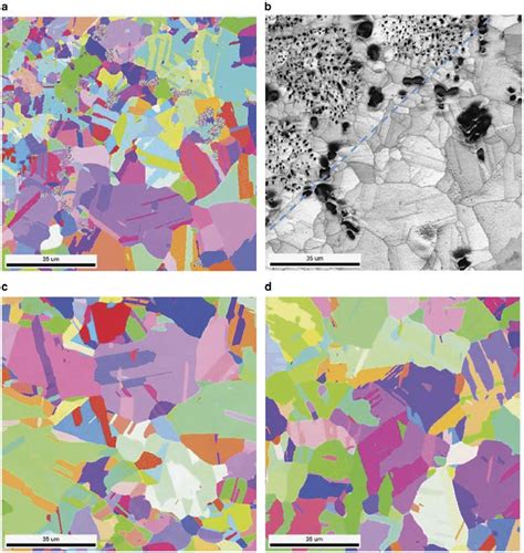Recrystallized Microstructures After 60 Cold Rolling And Annealing At Download Scientific