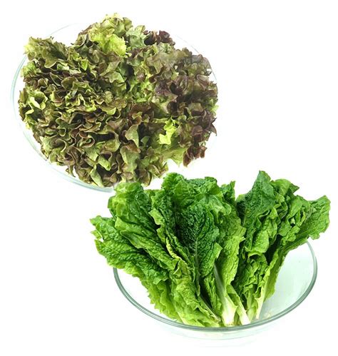 Kg Kg