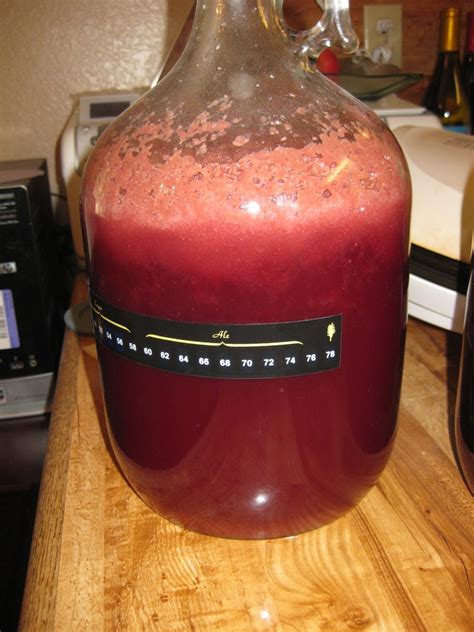 How To Make Mead Honey Wine 17 Steps With Pictures Instructables
