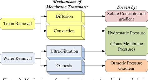 Figure 1 From Design Of A Simplified Hemodialysis Simulation Semantic