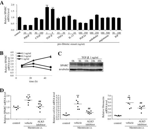 Secreted Protein Acidic And Rich In Cysteine Sparc Expression Is Download Scientific Diagram