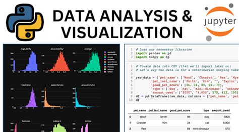 Do Data Analysis Python And Data Visualization By Mhashir101 Fiverr