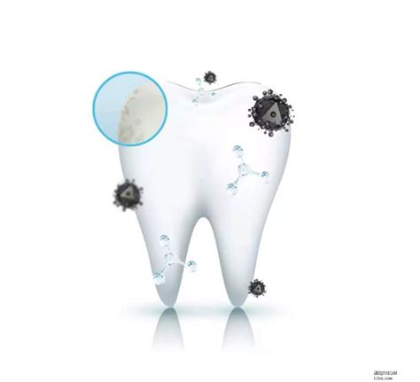 牙斑菌 牙斑菌图片显微镜 大山谷图库