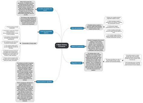 Mind Mapping Assignment 6225 Mindview Mind Mapping Software