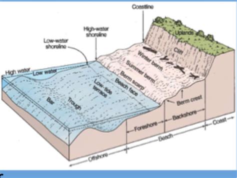 Coasts Powerpoint Flashcards Quizlet