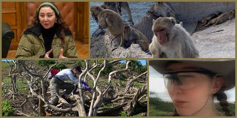 Zrenjaninka Jovana Maksić Mlada Naučnica Doktoranta Iz Oblasti