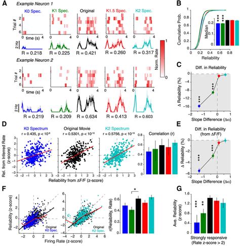 Spatially Decorrelating Natural Movies Decreases Trial To Trial Download Scientific Diagram