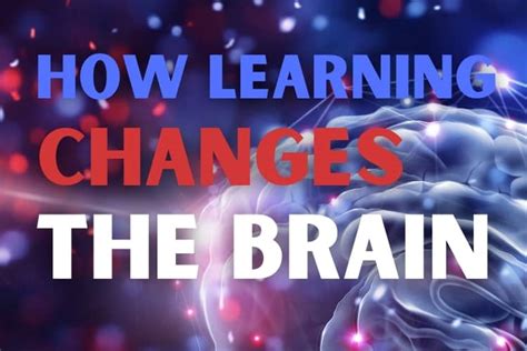 Autodidact Society Unleash Your Inner Genius