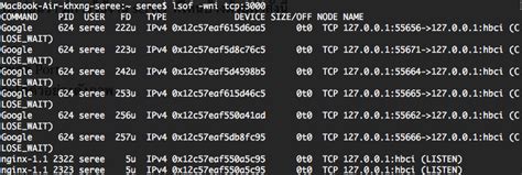 วิธีปิด Rails Server แบบไม่รู้ว่า Run อะไรไว้อยู่ By Seree Ittijan