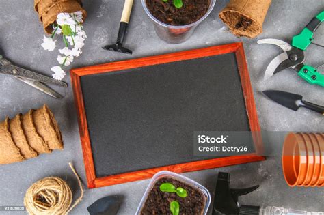 정원 도구와 회색 콘크리트 배경에 냄비 있습니다 보드 분필 보기 상위 공간을 복사 합니다 0명에 대한 스톡 사진 및 기타 이미지 Istock