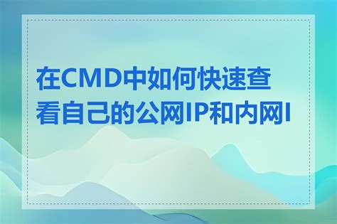 在CMD中如何快速查看自己的公网IP和内网IP