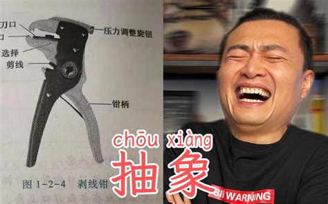 本来还挺喜欢剥线钳的 梗文梗图系列04 哔哩哔哩