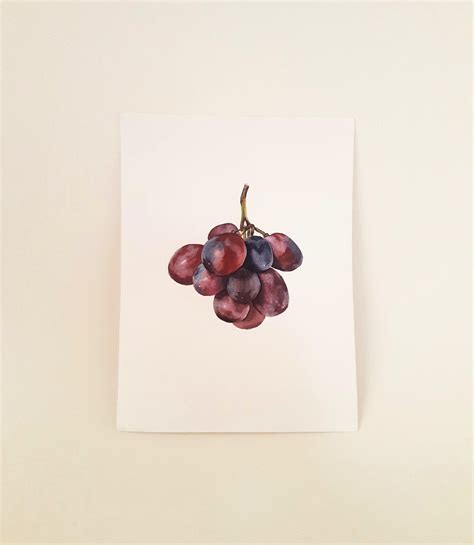 Uvas Realistas En Color