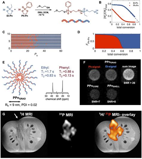 Synthesis And 31 P Mri Of Gradient Copolymer Micelles Ppngrad A