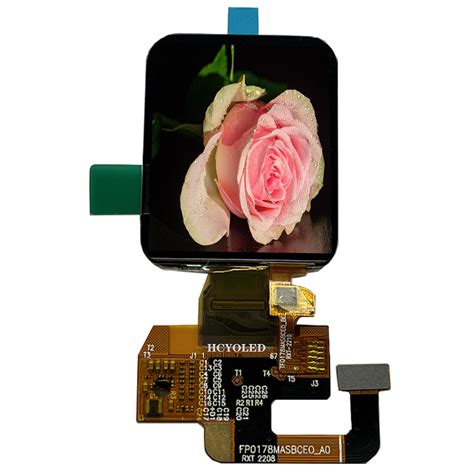 Factory Direct Sale Inch High Resolution Am OLED Display With Touch Screen China OLED