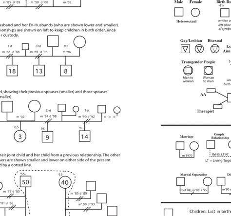 Genogram How To Downloadable PDF Multicultural Family Institute