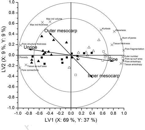 Figure 11 From Characterization Of The 3 D Microstructure Of Mango Manera Indica L Cv