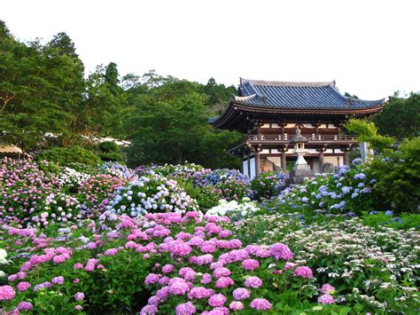 紅葉 近畿二府四県の花寺めぐり関西花の寺二十五カ所