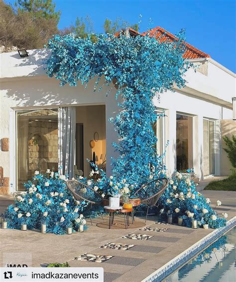Cactus Lebanon Debbiyé