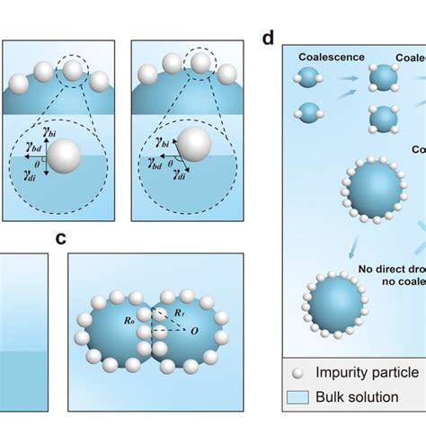 Theoretical Model Of Phase Coalescence Of Dense Liquid Droplets A Download Scientific