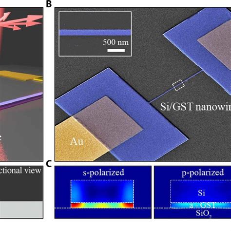 Polarization Selective Switching In A Had Nanowire A Schematic Top Download Scientific