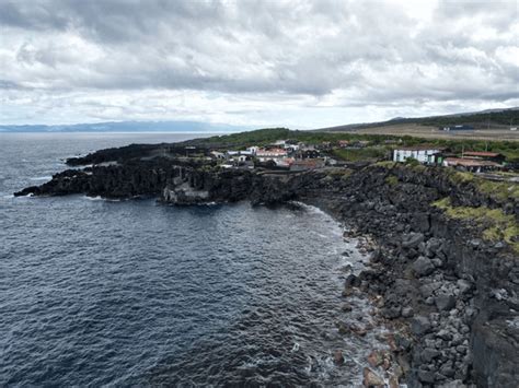 3개의 Cachorro Spa 이미지 스톡 사진 3d 오브젝트 벡터 Shutterstock