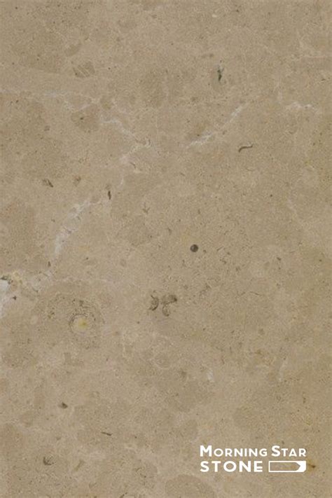 China Limra Whitehauteville Beige Limestone Manufacturer And Supplier Morningstar