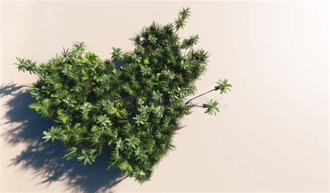 Trees Forming Heart Stock Illustrations 438 Trees Forming Heart Stock Illustrations Vectors