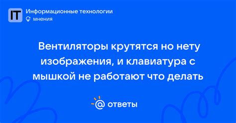 Вентиляторы крутятся но нету изображения и клавиатура с мышкой не работают что делать Ответы Mail