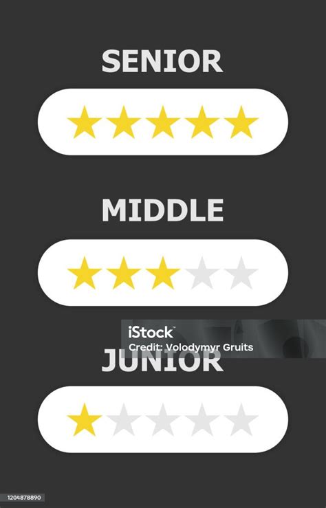 프로그래머의 직업의 세 가지 수준은 어두운 회색 배경에 별의 다른 수에 의해 반영됩니다 5에 대한 스톡 벡터 아트 및 기타 이미지 5 개체 그룹 건설 현장 Istock