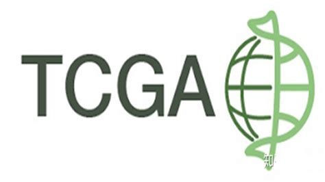 Tcga数据库下载 差异分析生存分析tcga01 数据库简介 Youtube