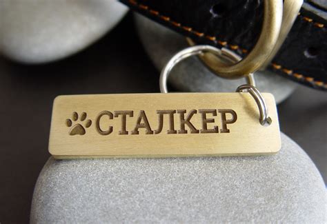 Жетон бирка для крупной собаки с гравировкой