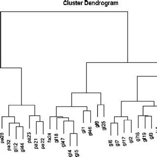 Cluster Dendrogram Using Ward S Minimum Variance Method And Euclidean