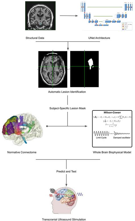 Figure Workflow Illustrating The Comprehensive Approach Proposed In The Download Scientific