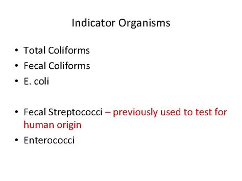 Coliforms Indicator Bacteria And Water Quality Testing Fecal