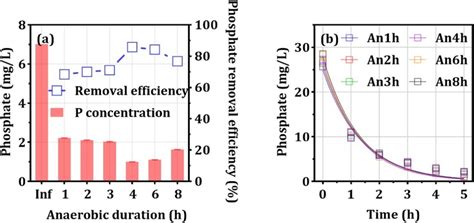 Phosphate Removal Performance A Phosphate Uptake Kinetics B And Download Scientific