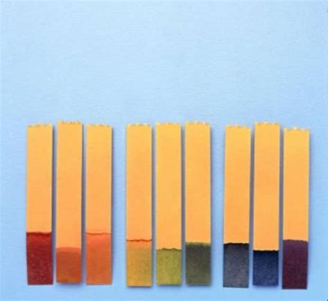 Creative Technology Ph Indicator For Laboratory At Rs 1500 In New Delhi