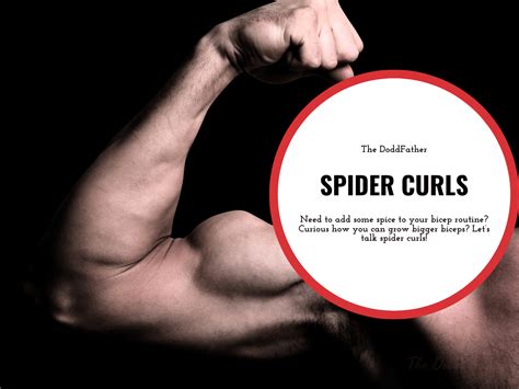 Mastering Spider Curls Grow Boulder Biceps In 2025